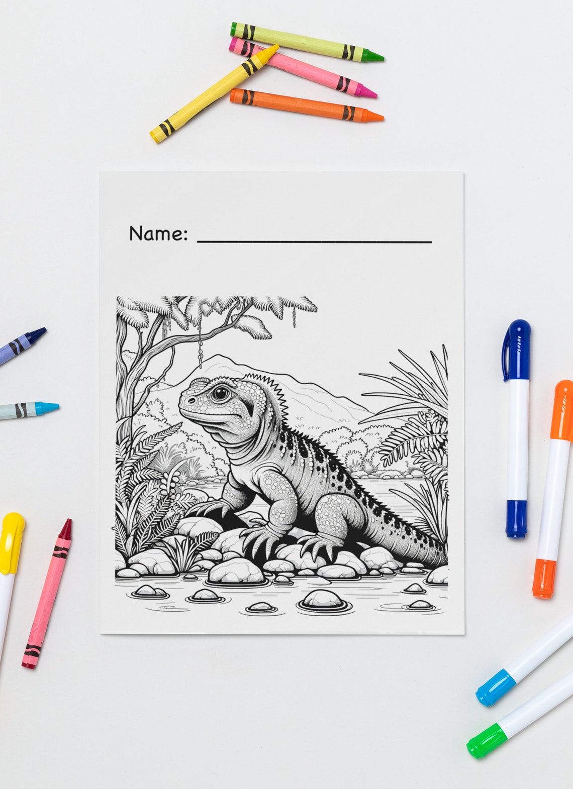 New Zealand Tuatara Children's Colouring Page - Etsy