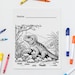 New Zealand Tuatara Children's Colouring Page - Etsy