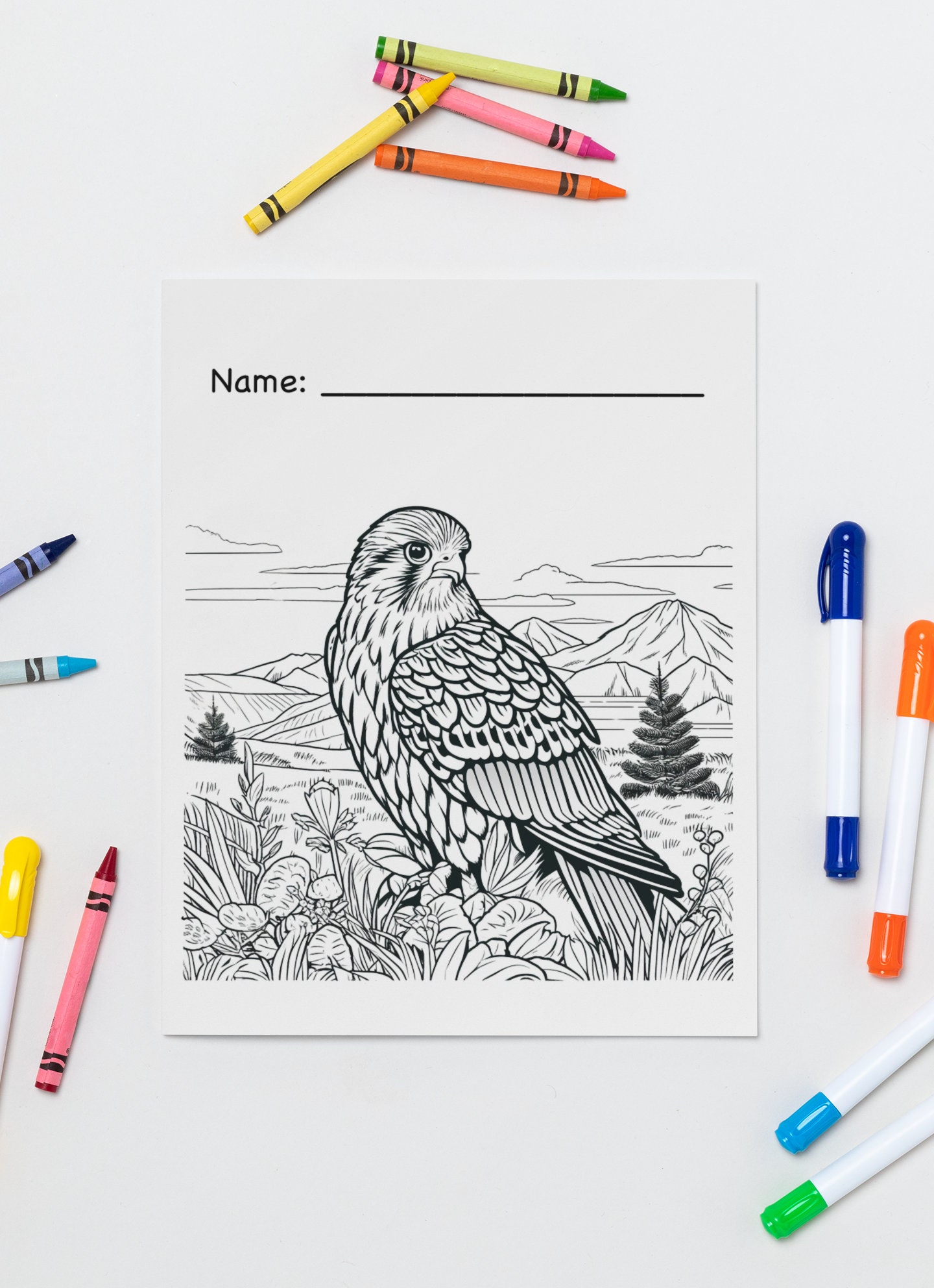 New Zealand Falcon (kārearea) Children's Colouring Page - Etsy