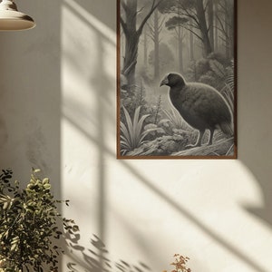 New Zealand Native Birds Digital Download Wall Art | Ruru (new Zealand ...