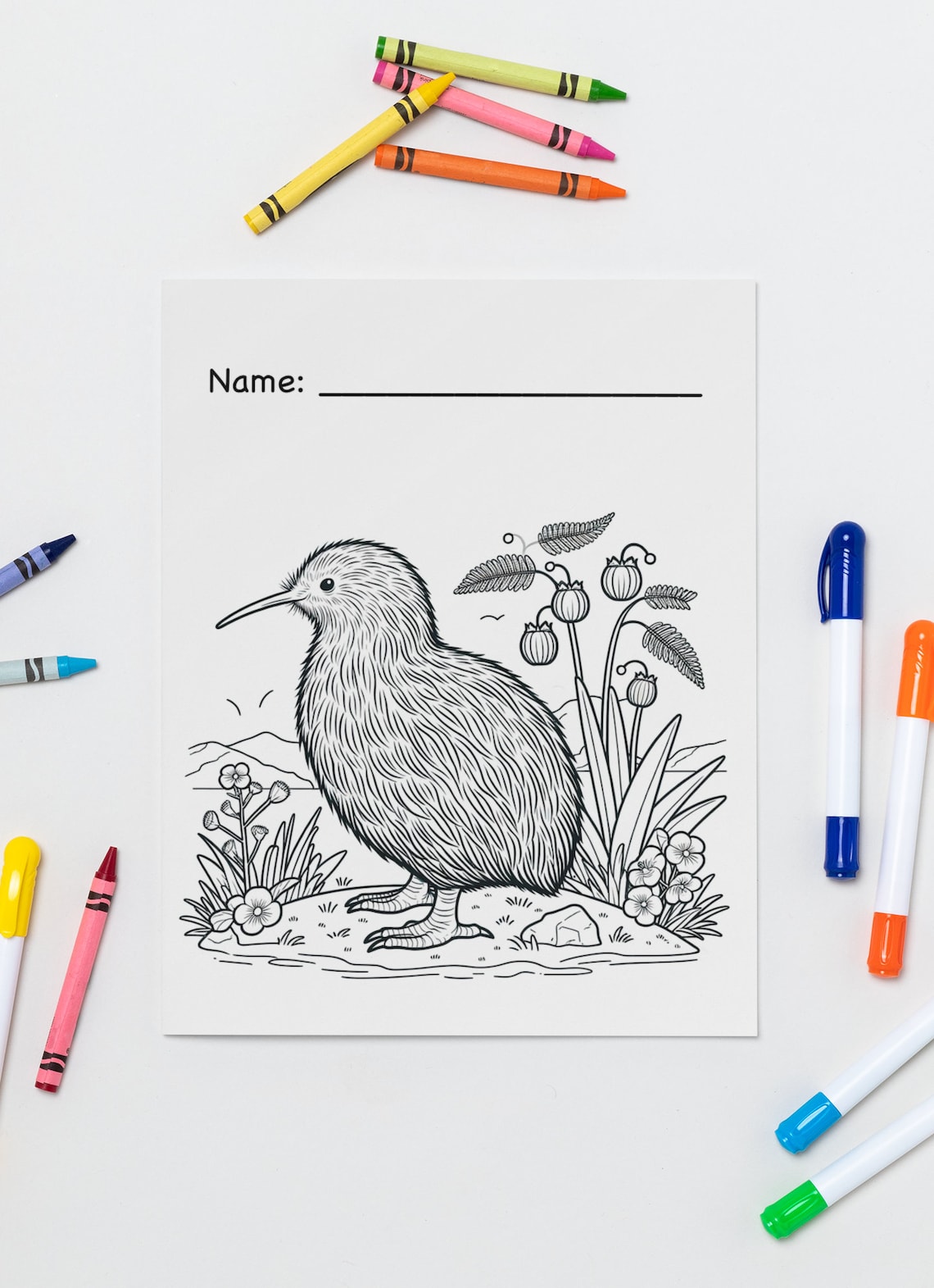New Zealand Kiwi Children's Colouring Page - Etsy