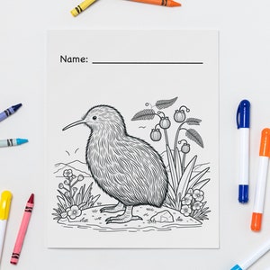 New Zealand Kiwi Children's Colouring Page - Etsy