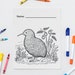 New Zealand Kiwi Children's Colouring Page - Etsy