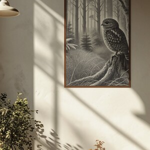 New Zealand Native Birds Digital Download Wall Art | Ruru (new Zealand ...