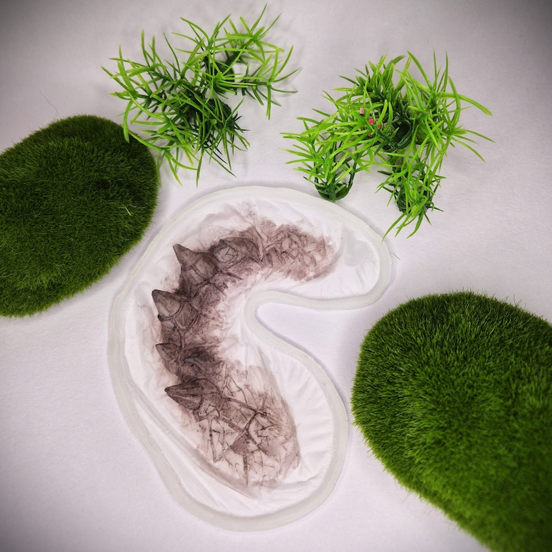 Dragon Prosthetic - Etsy