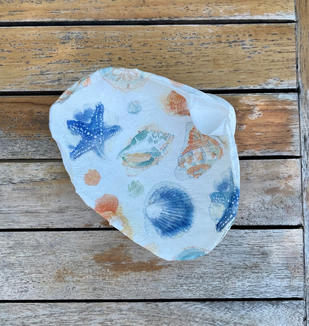 Beach Elements - Decorative Clam Shell - Etsy