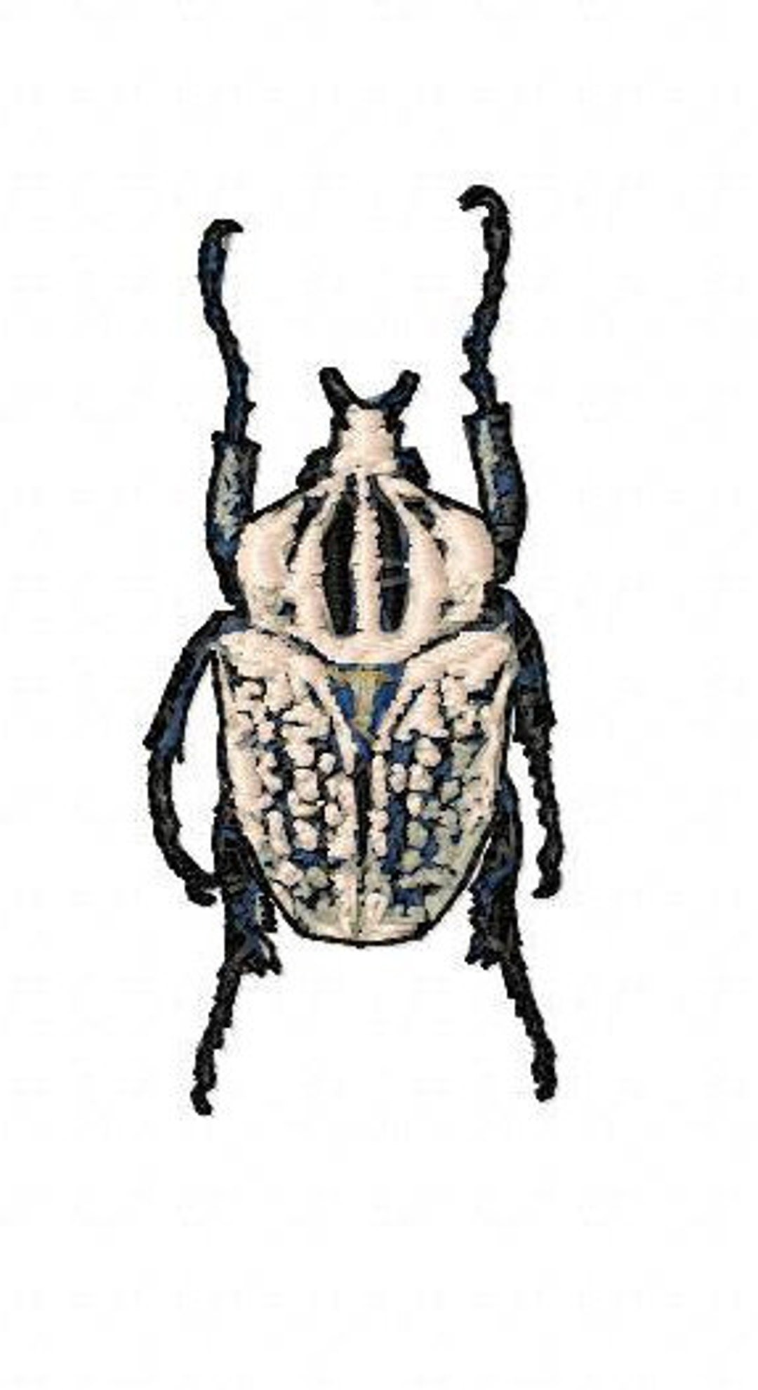 BUG Machine Embroidery Design by Letzrock 3184 - Etsy