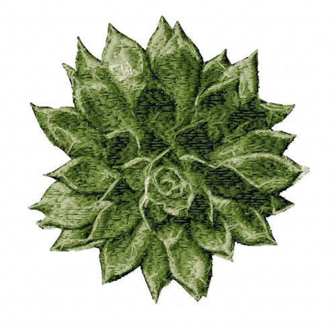 Succulent Machine Embroidery Designs...3183 - Etsy