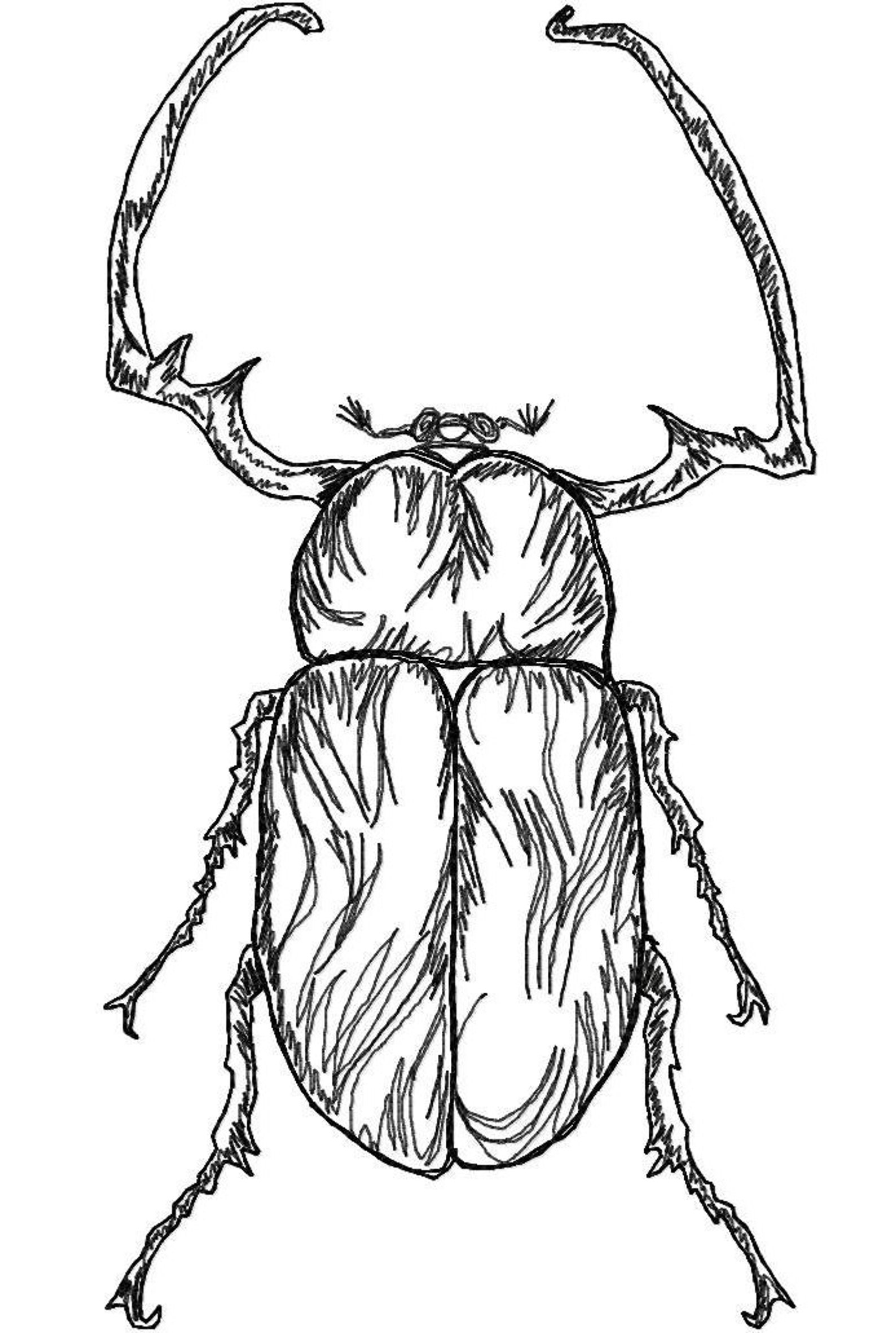 BUG Machine Embroidery Design by Letzrock 3149 - Etsy
