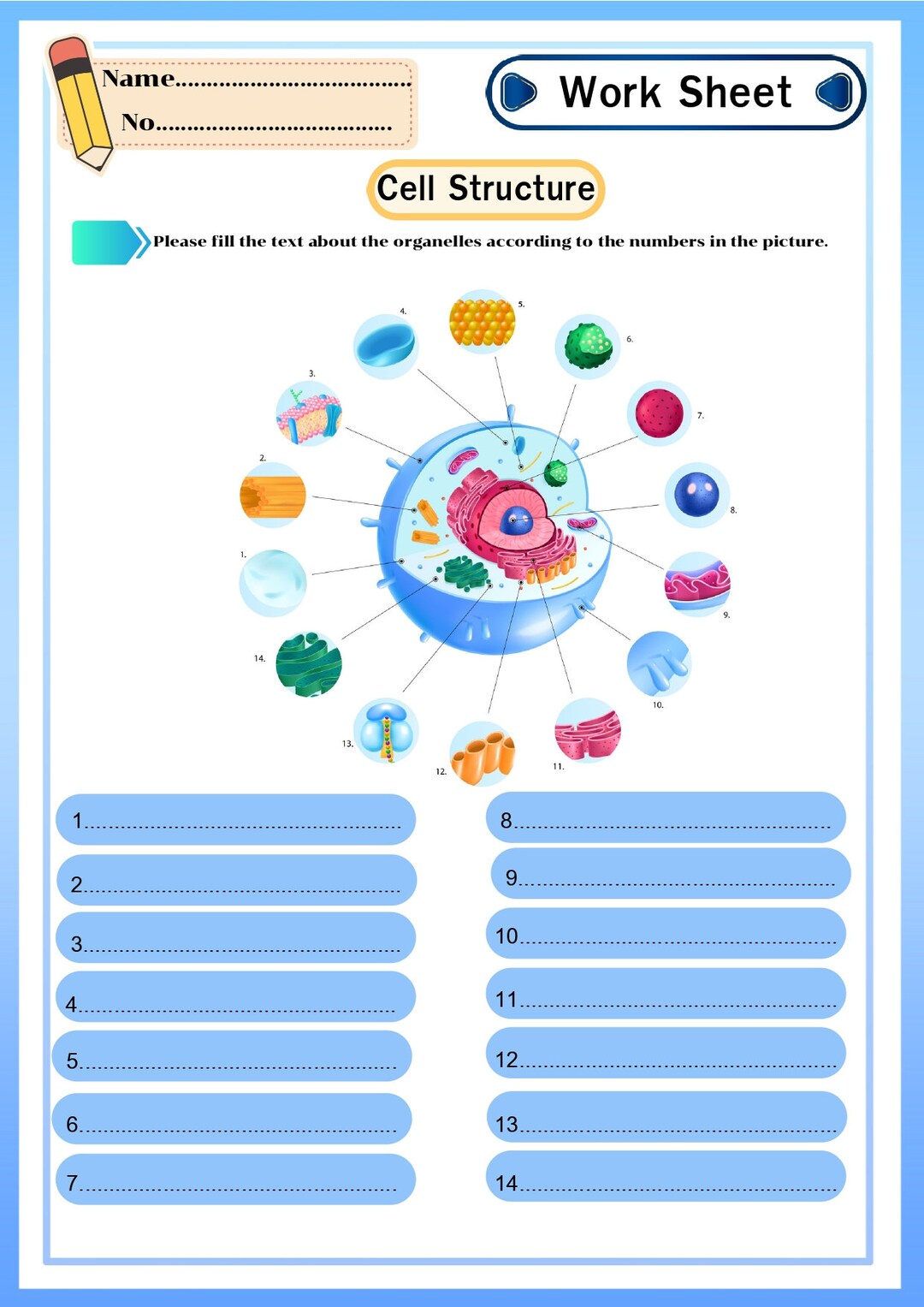 Cell Structure Worksheet - Etsy
