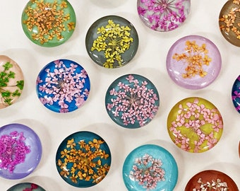 Pressed Dried Flower Botanical Magnet Set Cute Glass Magnets | Etsy