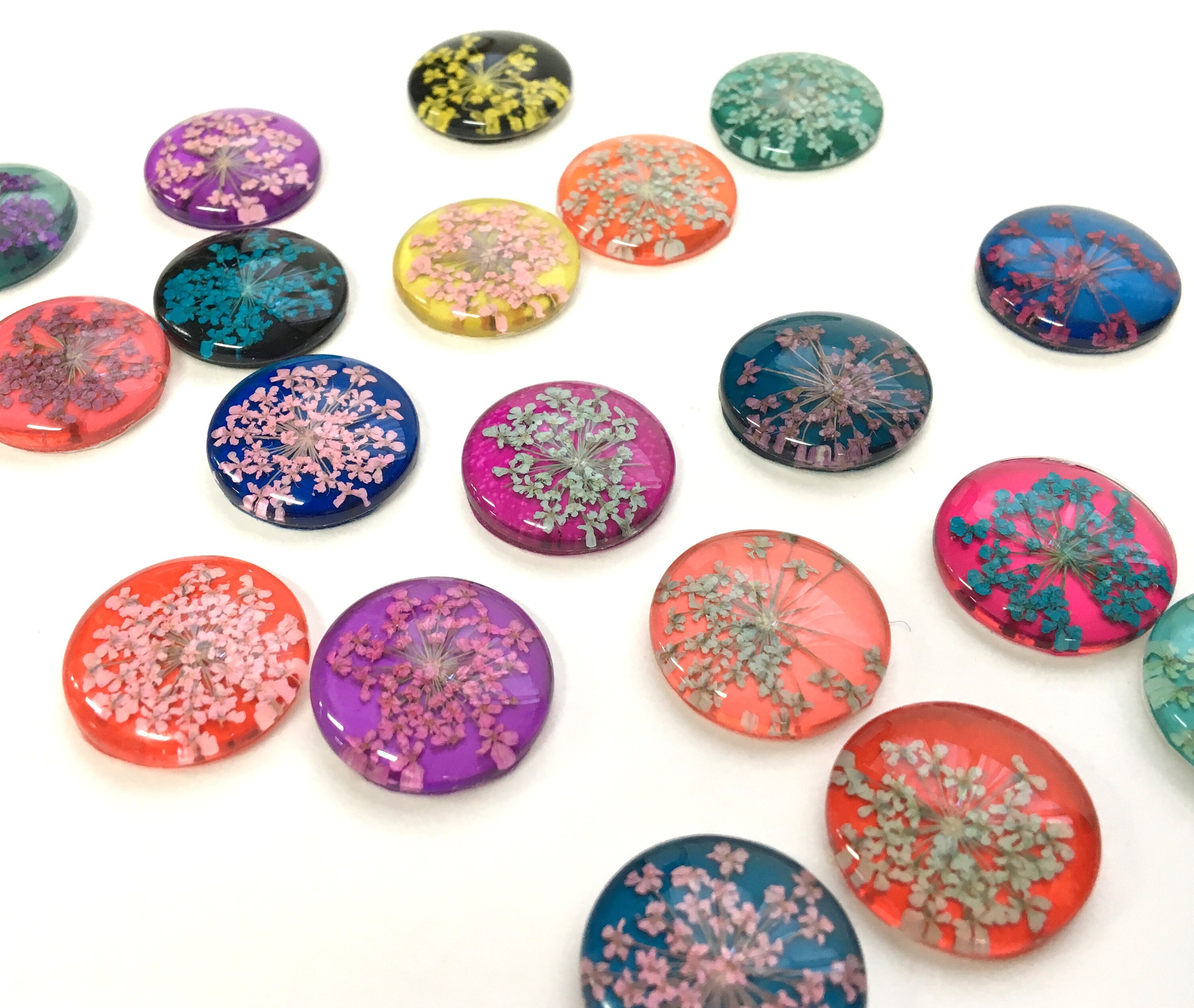 Pressed Dried Flower Botanical Magnet Set Cute Glass Magnets | Etsy