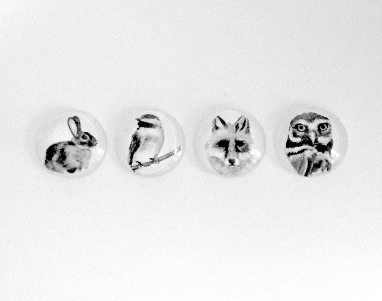 Fauna Magnet Set of 4, Cute Magnets, Bunny Owl Fox Chickadee, Hand ...