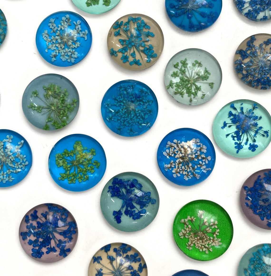 Pressed Dried Flower Botanical Magnet Set: Blues Greens. Cute | Etsy