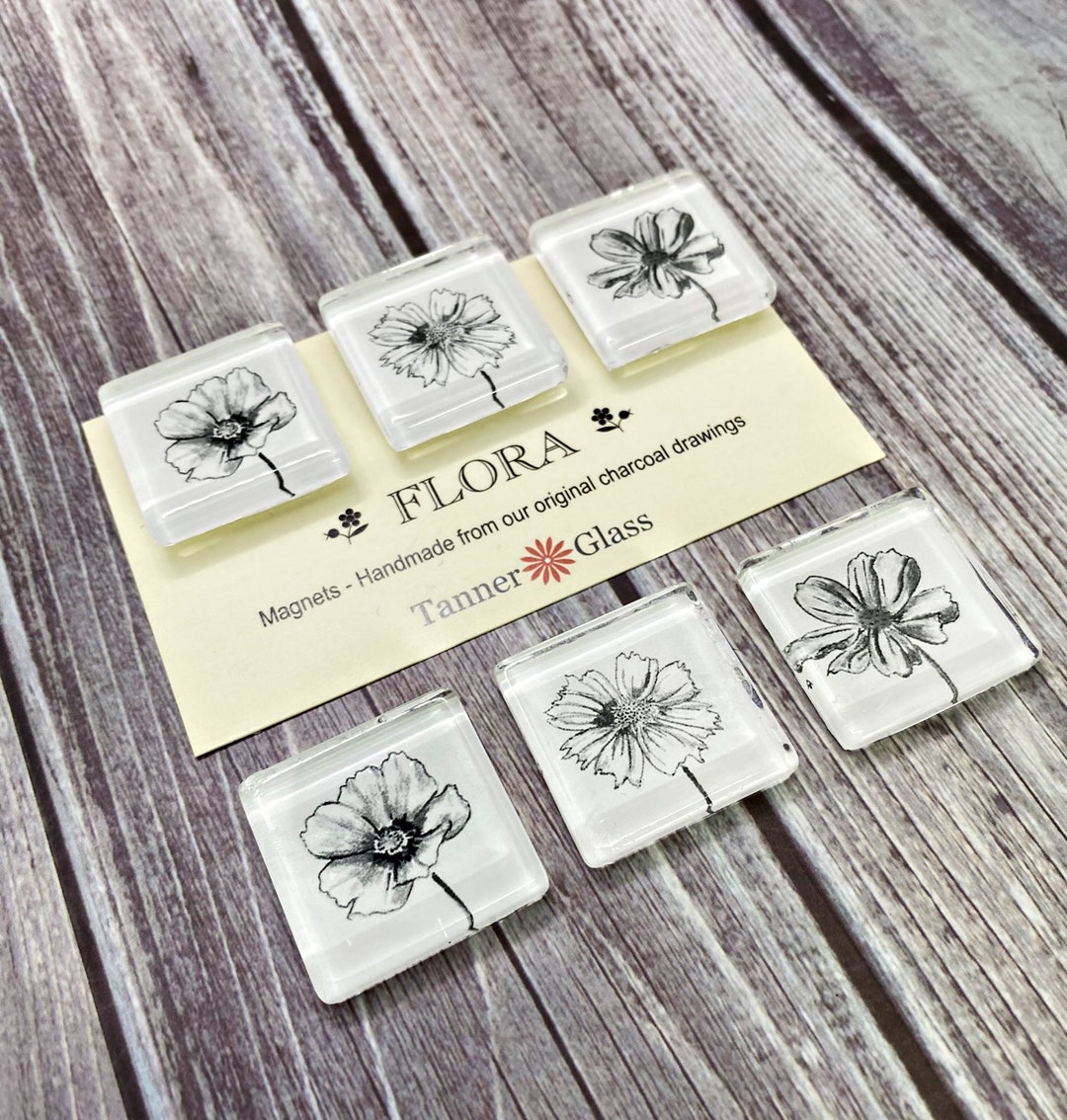 Flora Magnet Set. Hand Drawn Flower Image, Botanical Glass Magnets ...