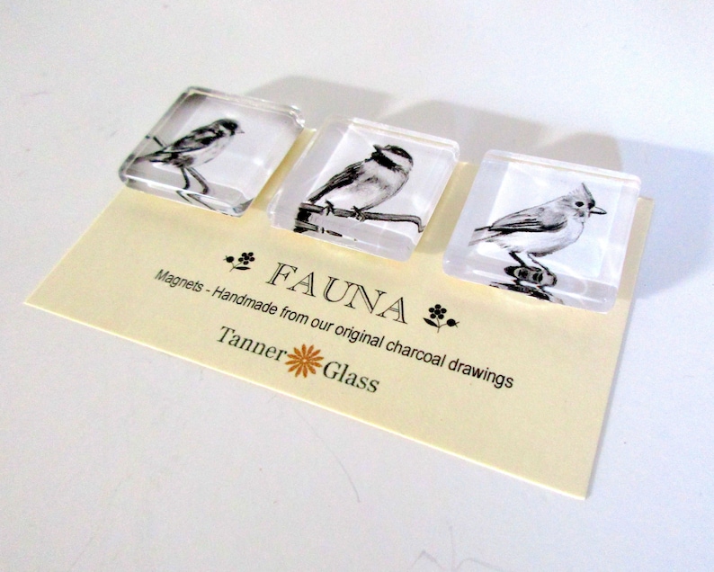 Bird Magnets, Hand Drawn Images. Sparrow, Chickadee, Titmouse, Square ...