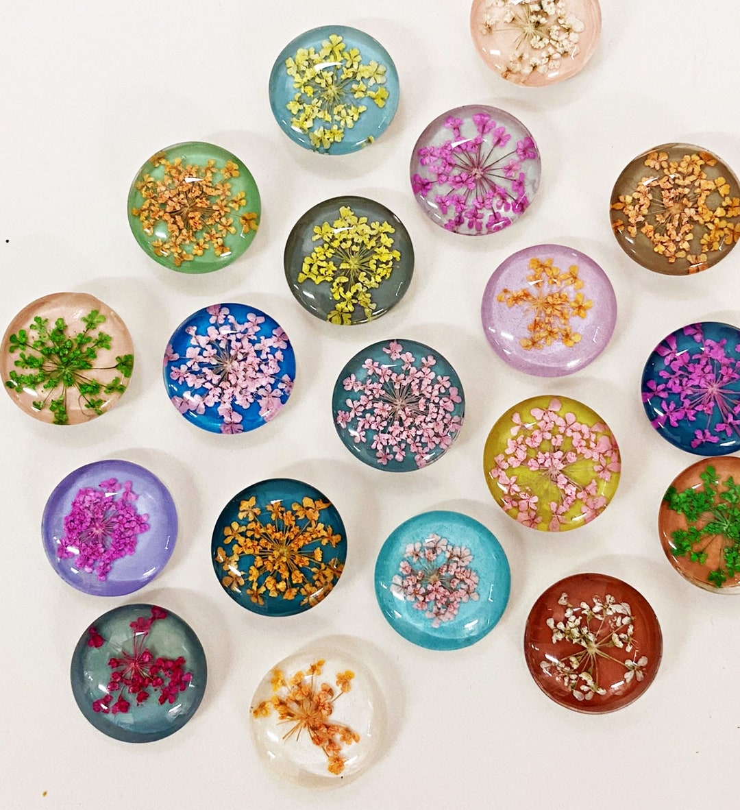 Pressed Dried Flower Botanical Magnet Set: Pastel, Pale Tones, Cute ...