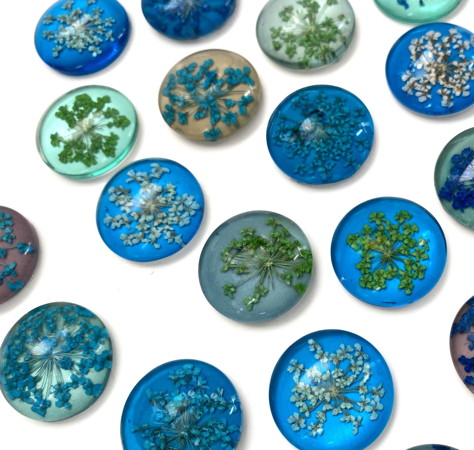 Pressed Dried Flower Botanical Magnet Set: Blues Greens. Cute | Etsy