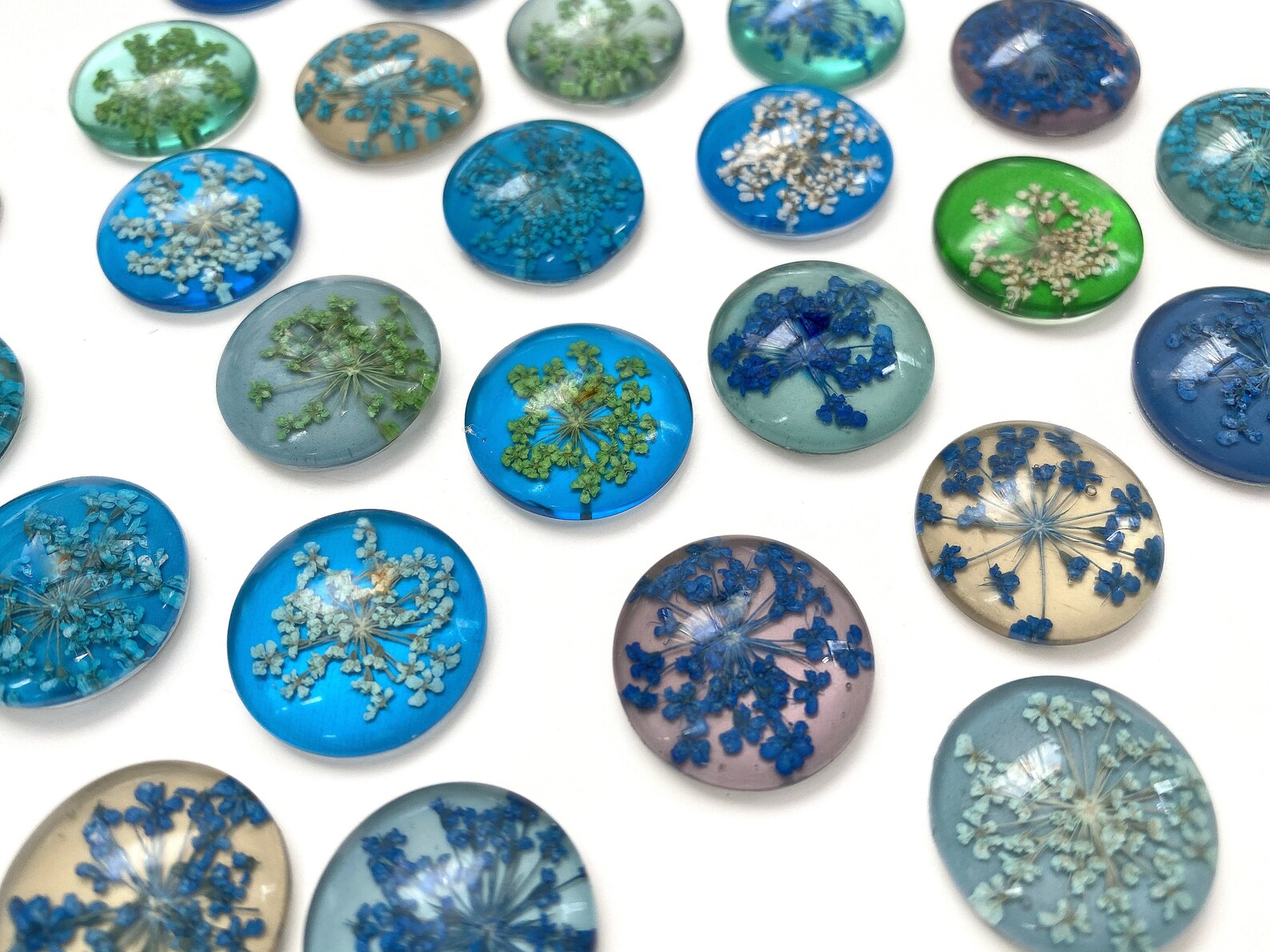 Pressed Dried Flower Botanical Magnet Set: Blues Greens. Cute | Etsy