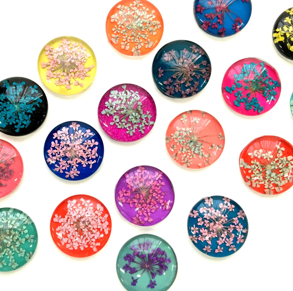 Pressed Dried Flower Botanical Magnet Set, Cute Glass Magnets Push Pins ...