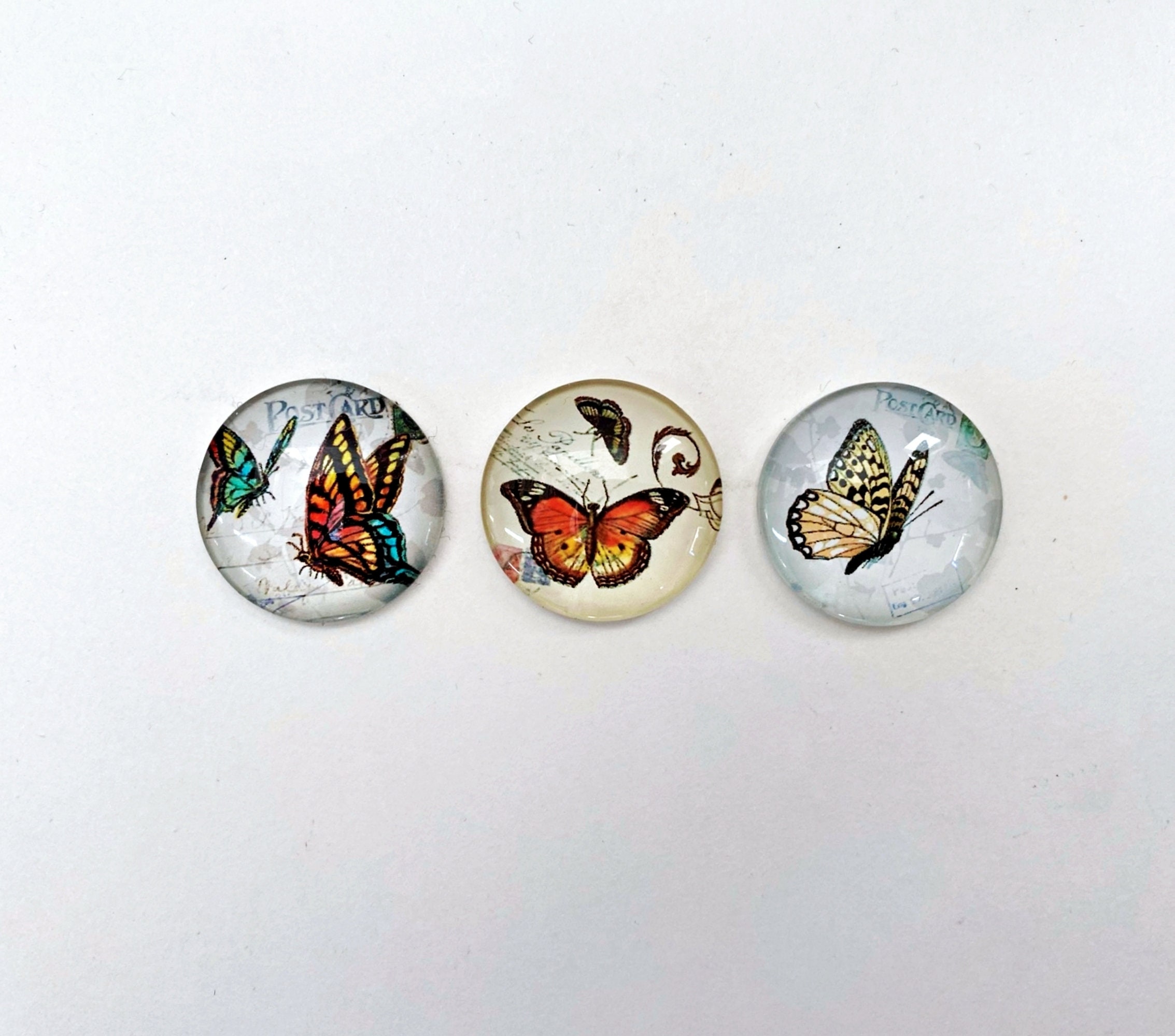Butterfly Glass Magnets Set of 3 Fridge Magnets Botanical - Etsy