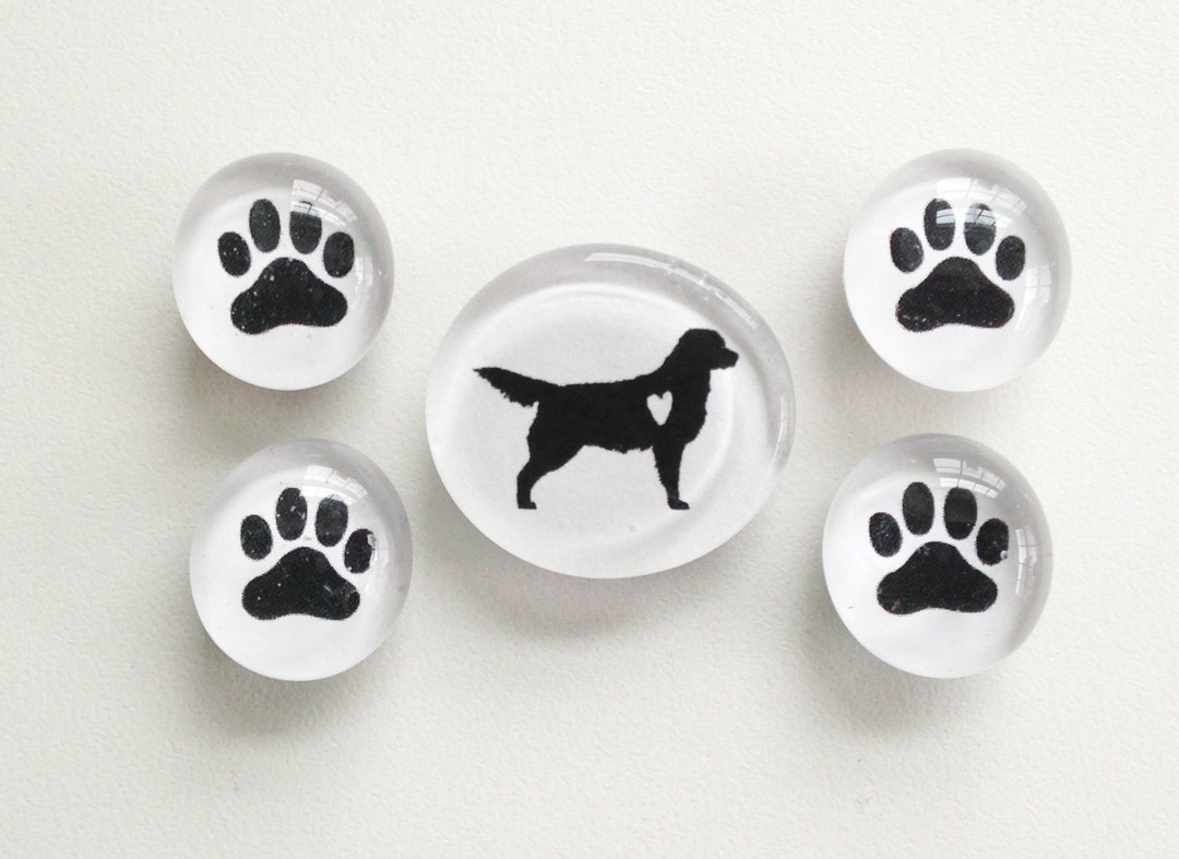Golden Retriever Glass Magnets. Golden Magnet Set, Dog Magnets, Gift ...