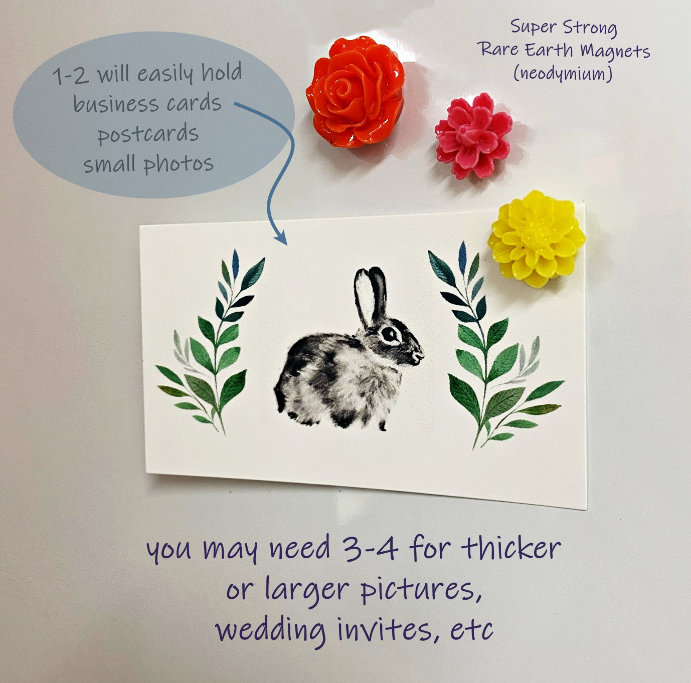 BEST DEAL Pressed Dried Flower Botanical Magnet Set Cute - Etsy