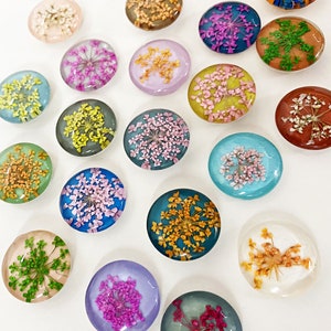 Pressed Dried Flower Botanical Magnet Set: Pastel, Pale Tones, Cute ...