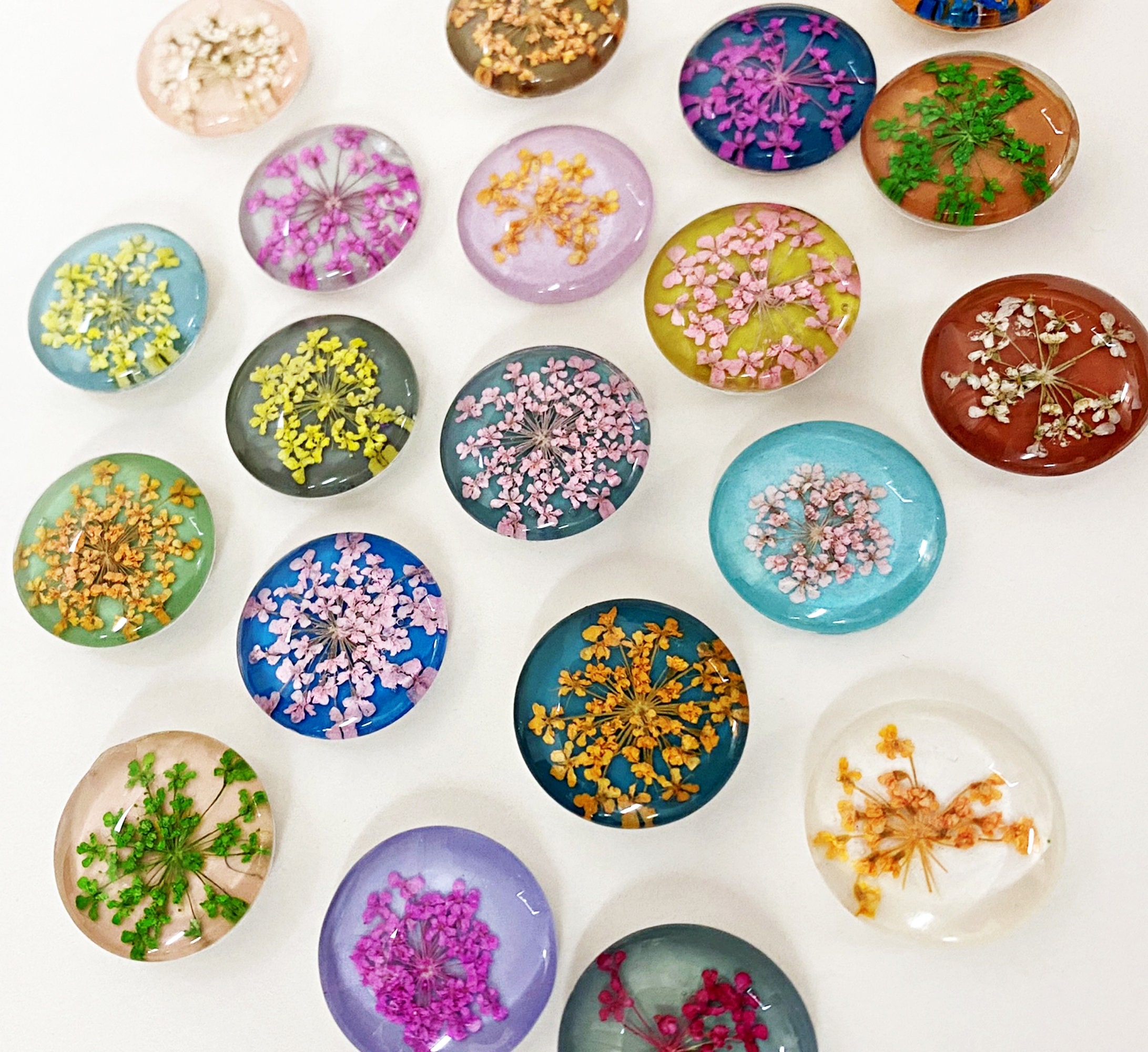 Pressed Dried Flower Botanical Magnet Set: Pastel, Pale Tones, Cute ...
