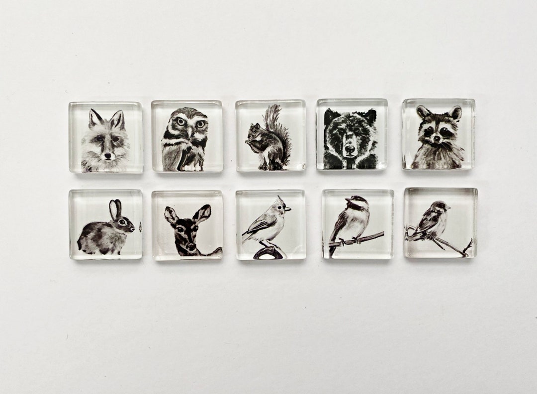 Woodland Animal Magnet, Fridge Magnets, Gift for Nature Lover, Woodland ...