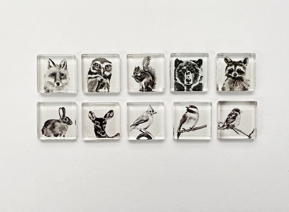 Woodland Animal Magnet Fridge Magnets Gift for Nature Lover | Etsy