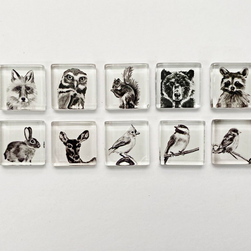 Cute Bird Magnet - Etsy