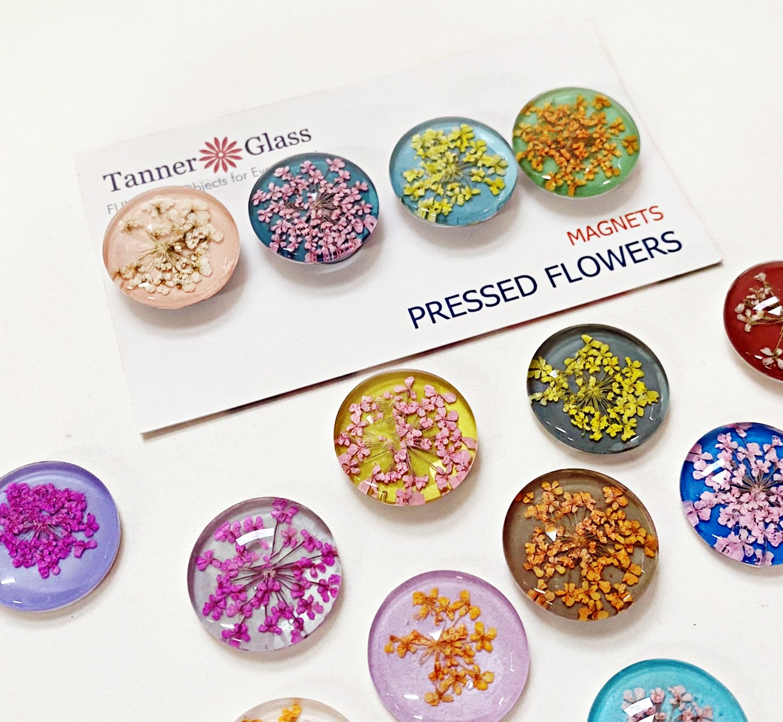 Pressed Dried Flower Botanical Magnet Set: Pastel, Pale Tones, Cute ...