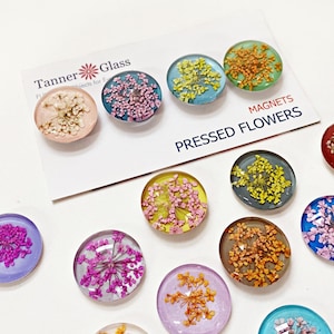 Pressed Dried Flower Botanical Magnet Set: Pastel, Pale Tones, Cute ...