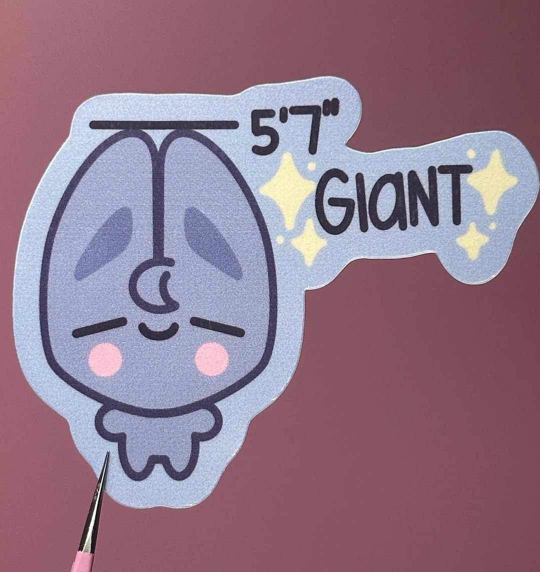 Skzoo "giant" Stickers - Etsy