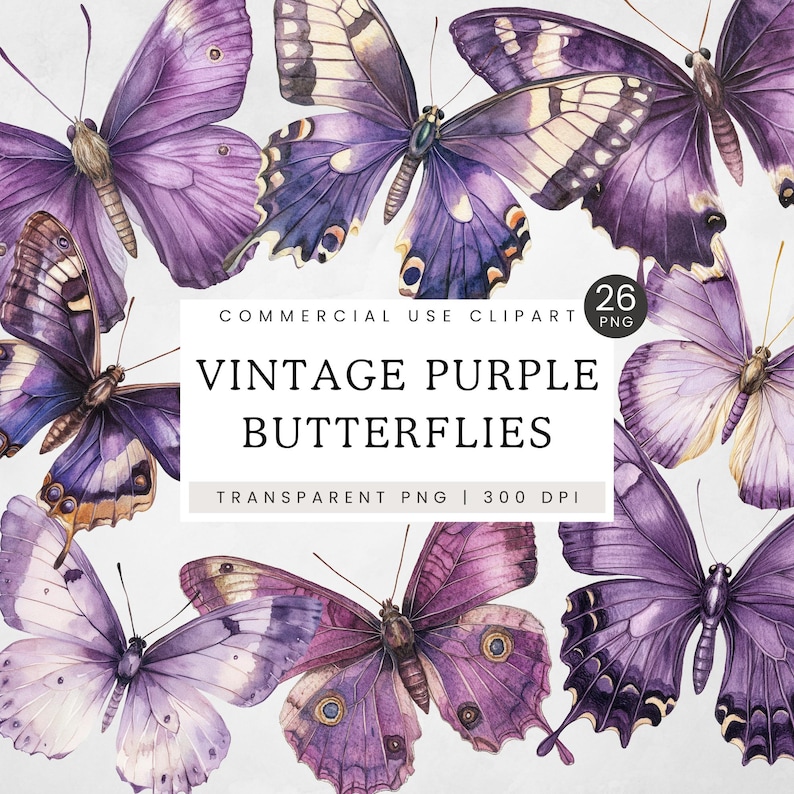 Purple Butterfly Clipart, Vintage Butterfly Illustration, Watercolor ...