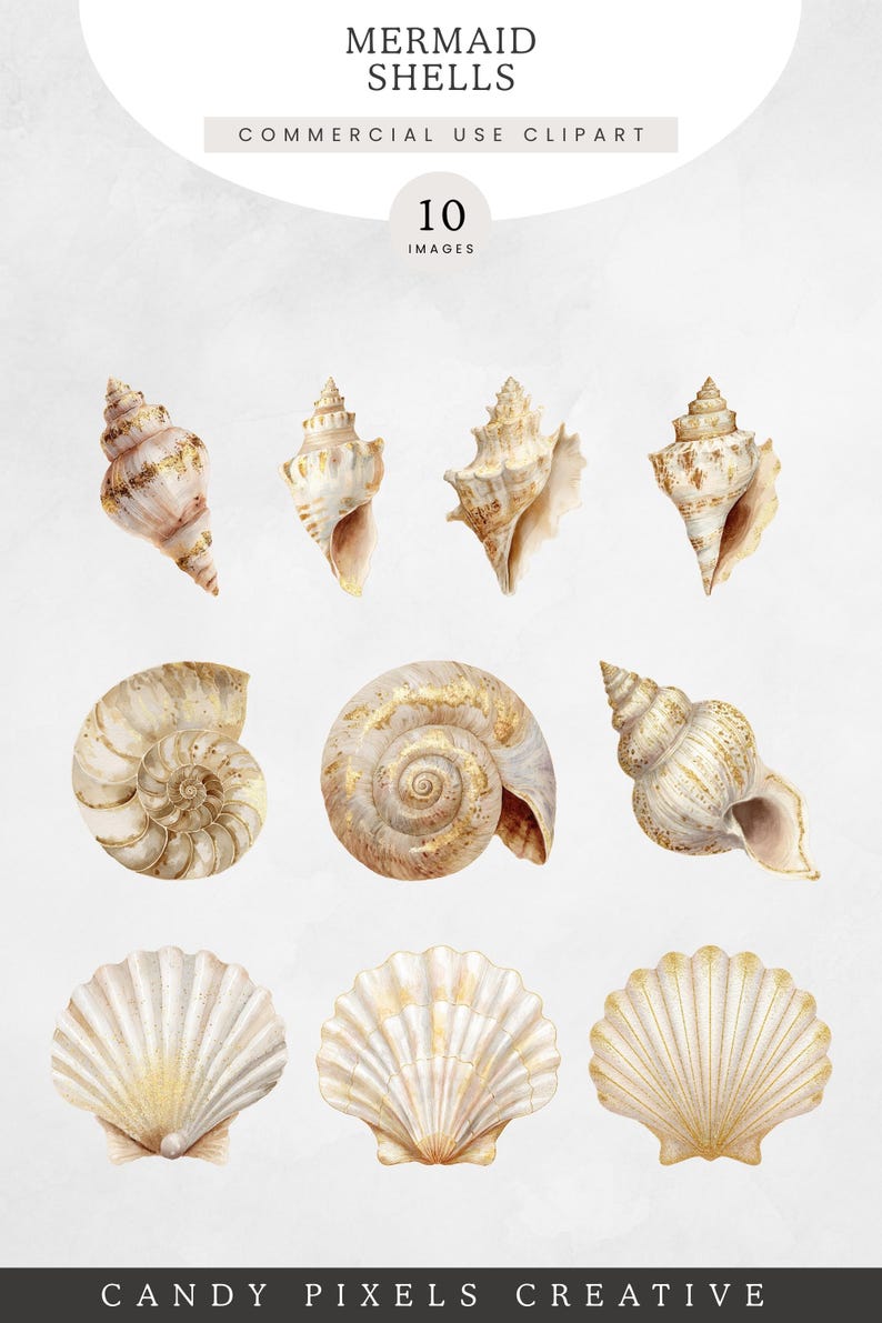 Mermaid Shell Clipart, Seashell PNG Set With Gold Accents, Ocean ...