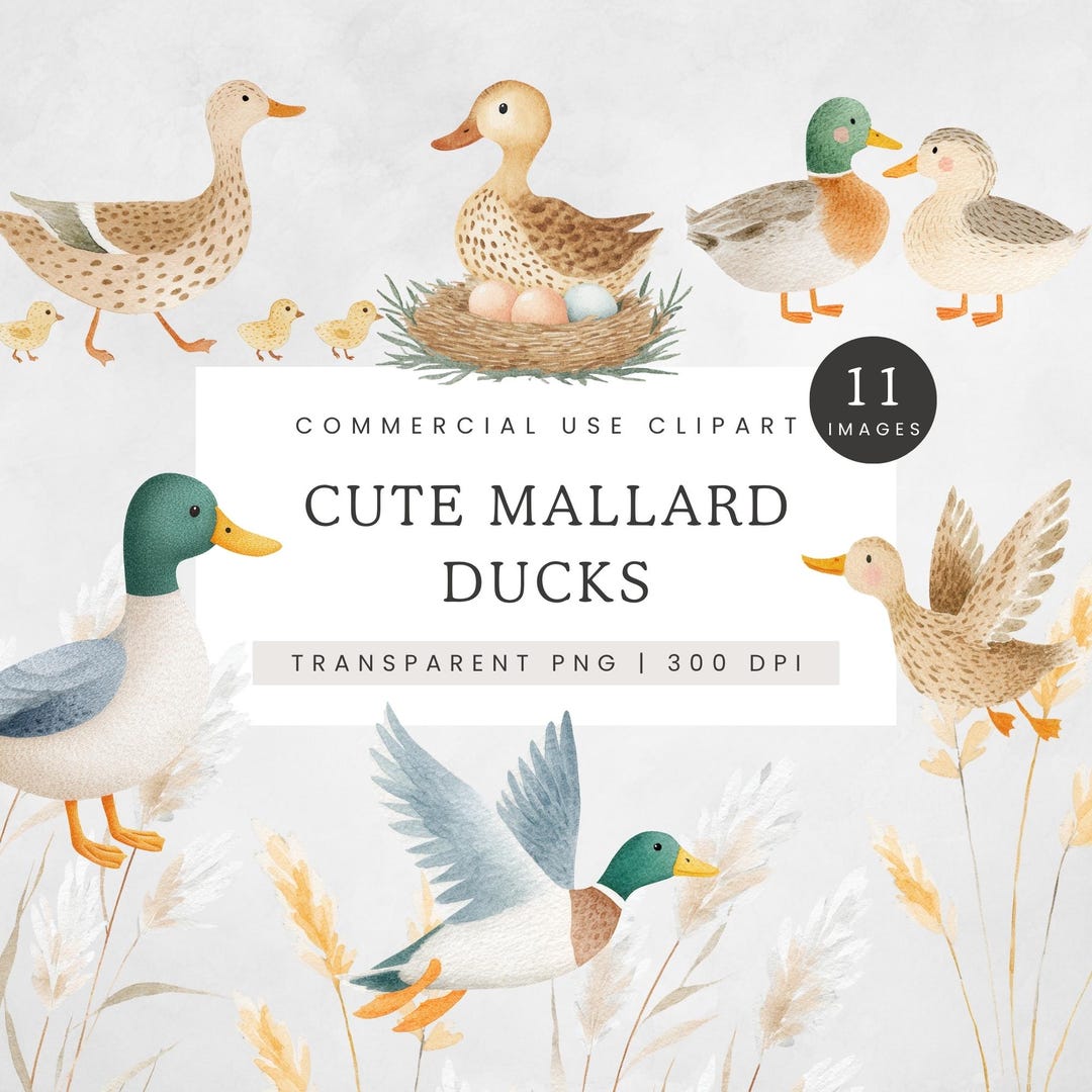 One Lucky Duck Clipart, Watercolor Mallard Ducks Clip Art, Cute Ducks ...