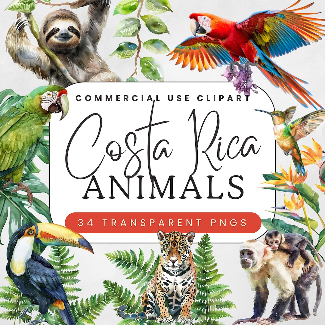 Animales de Costa Rica PNG Clip Art, Clipart de animales de la selva ...