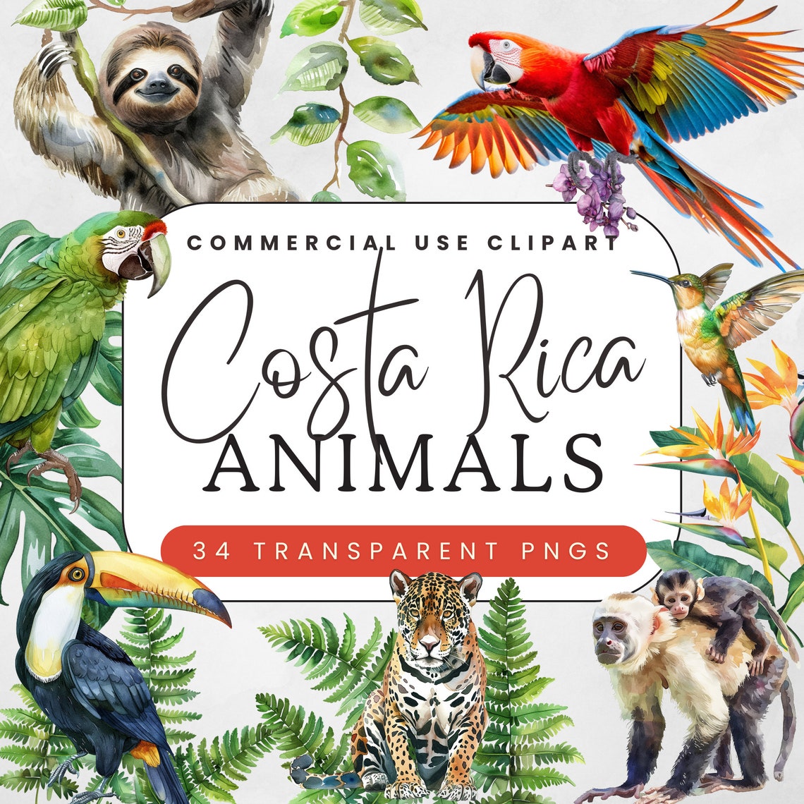 Costa Rica Animals PNG Clip Art, Rainforest Animals Clipart, Sloth ...
