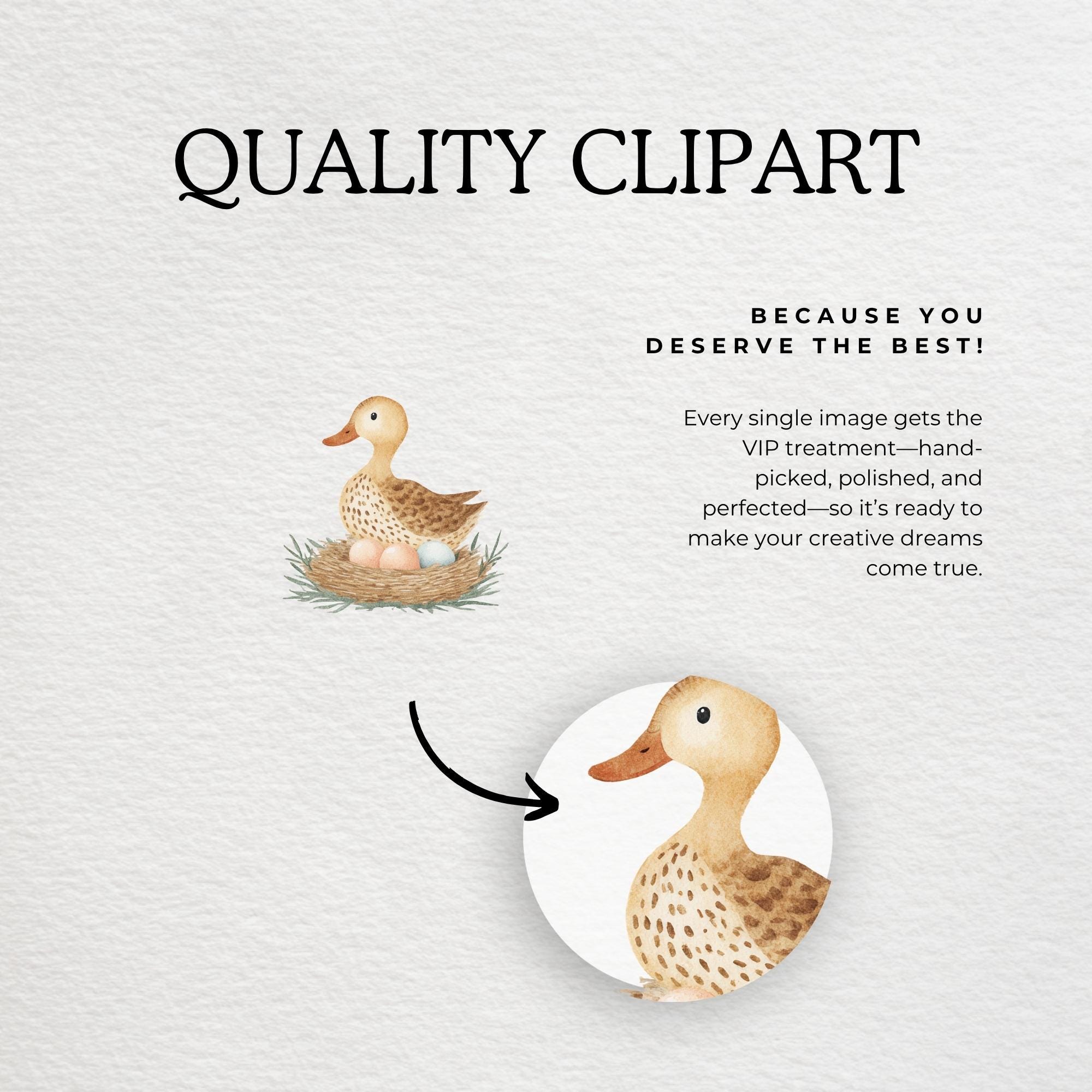 One Lucky Duck Clipart, Watercolor Mallard Ducks Clip Art, Cute Ducks ...