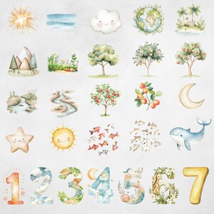 Watercolor Bible Clipart Bundle, Creation of Adam PNG, Old Testament ...