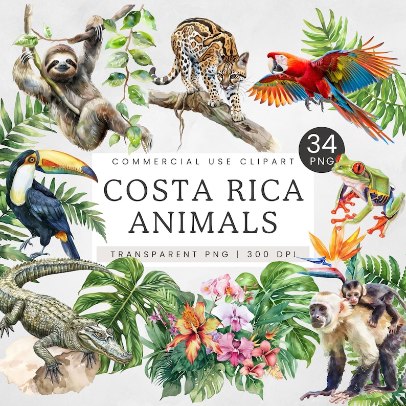 Costa Rica Animals PNG Clip Art, Rainforest Animals Clipart, Sloth ...