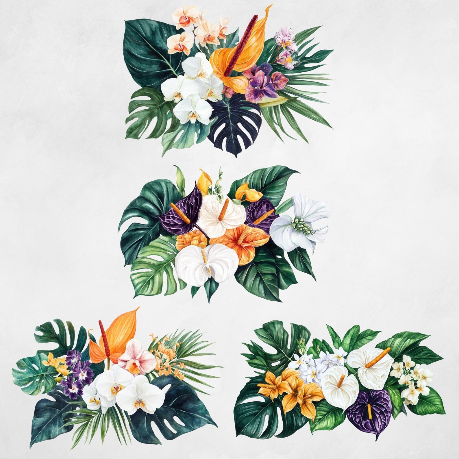 Tropical Floral Clipart, Bird of Paradise Watercolor Flowers Clip Art ...