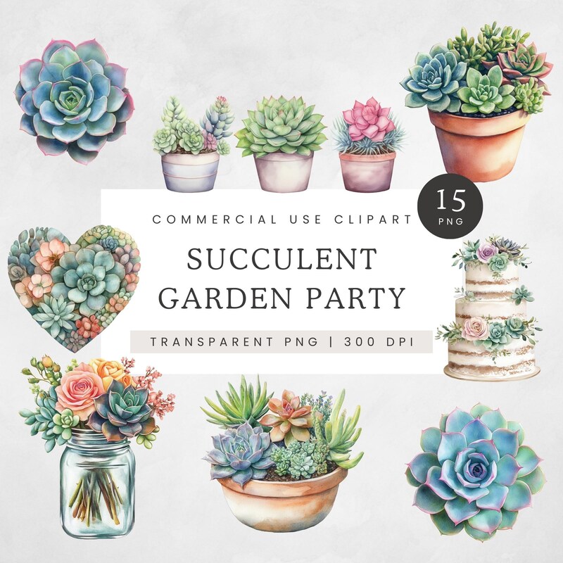 Succulent Wreath - Etsy