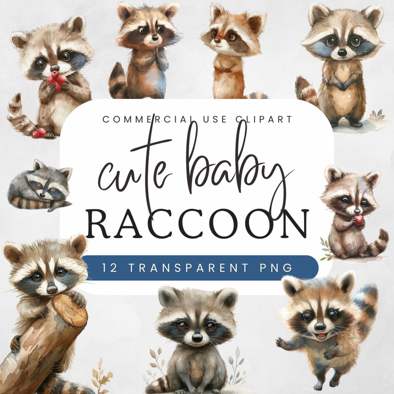 Baby Raccoon PNG Clipart Pack Forest Animals Watercolour PNG Cute Baby ...