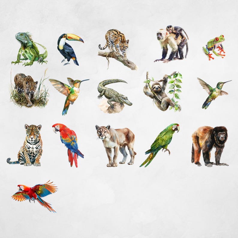 Costa Rica Animals PNG Clip Art, Rainforest Animals Clipart, Sloth ...