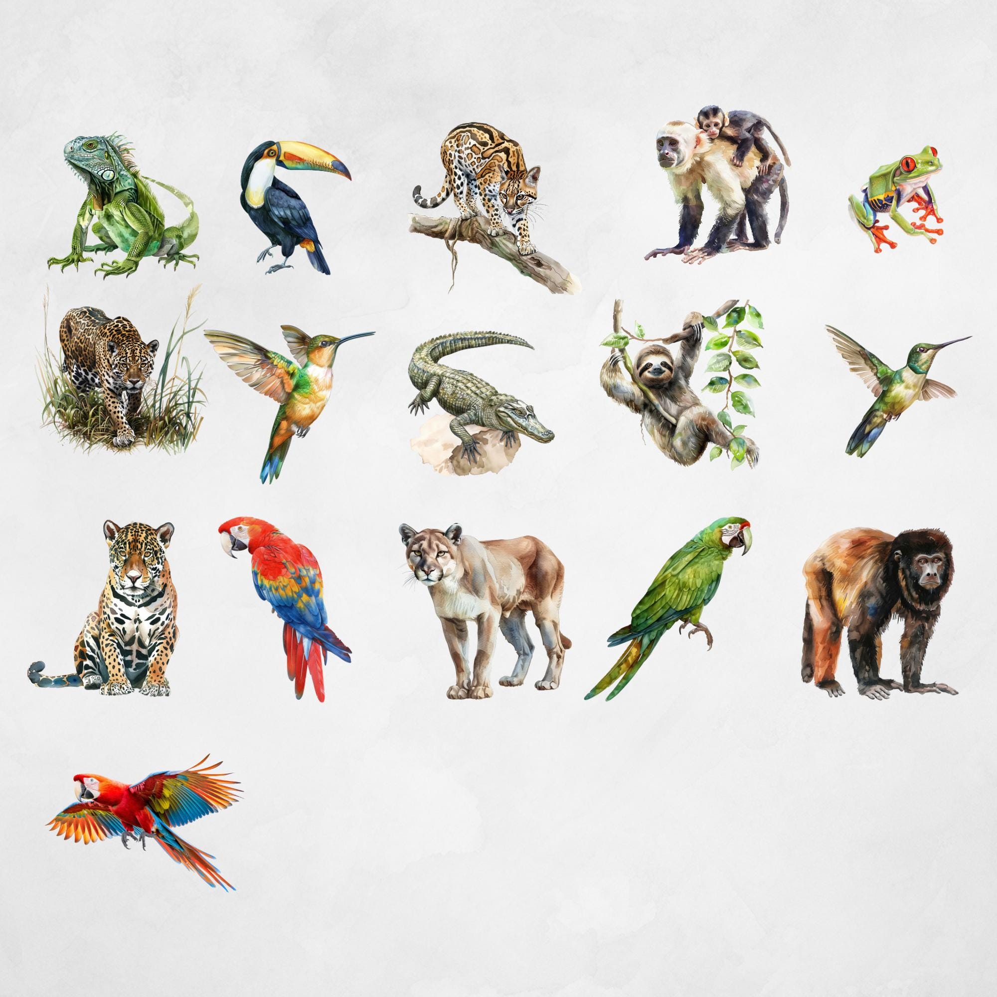 Costa Rica Animals PNG Clip Art, Rainforest Animals Clipart, Sloth ...