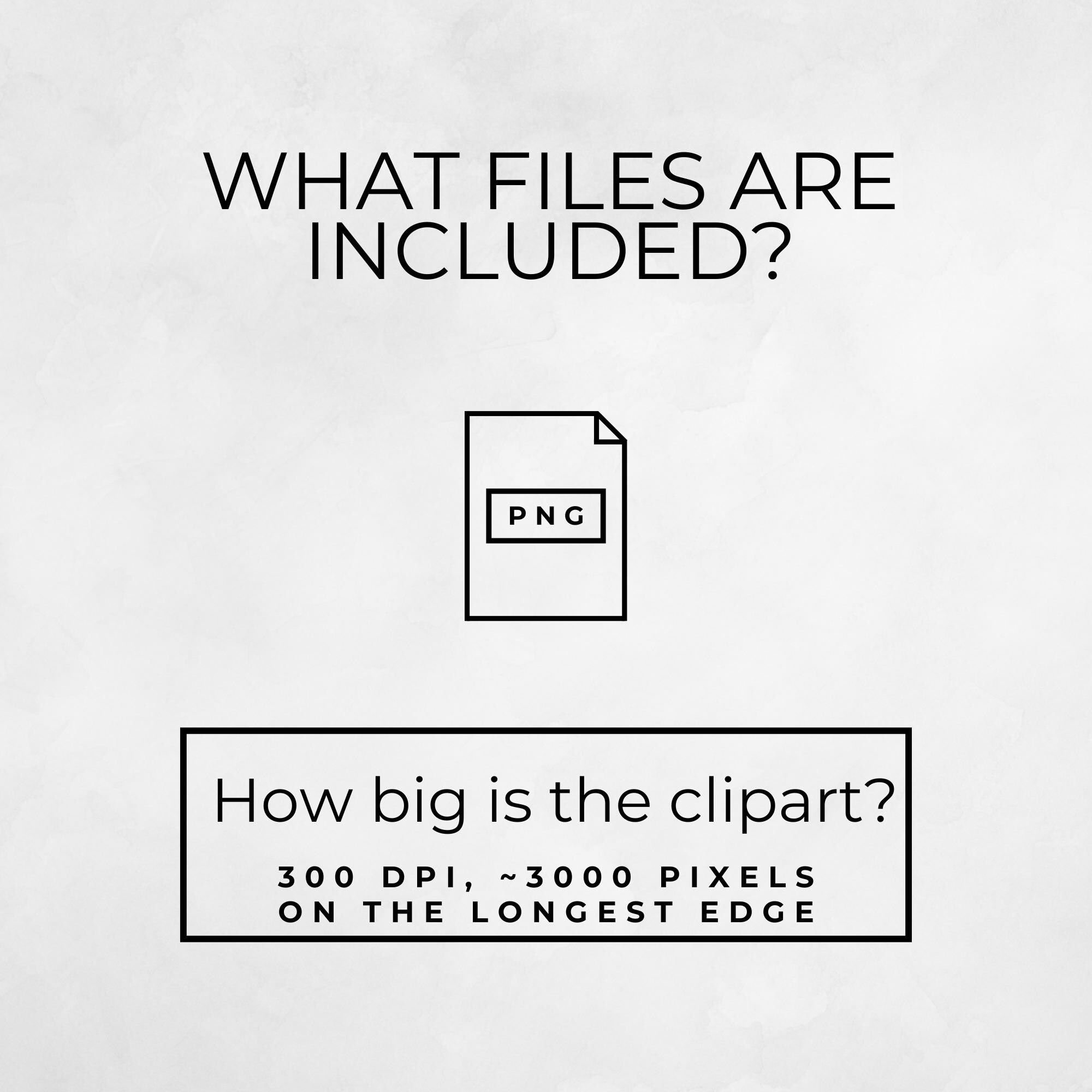 Goose Clipart Set, Cute Geese Clip Art, Farmhouse Animals PNG, Farm ...