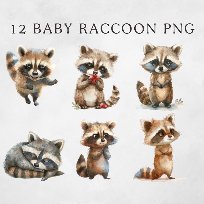 Baby Raccoon PNG Clipart Pack Forest Animals Watercolour PNG Cute Baby ...